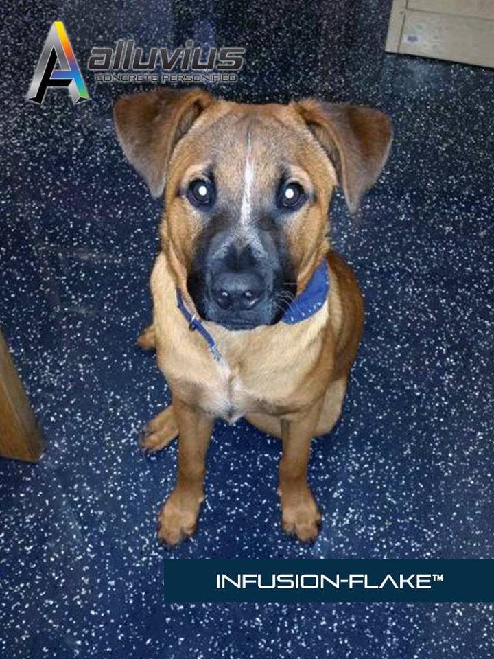 Epoxies: Customizable Epoxy Solutions | Alluvius